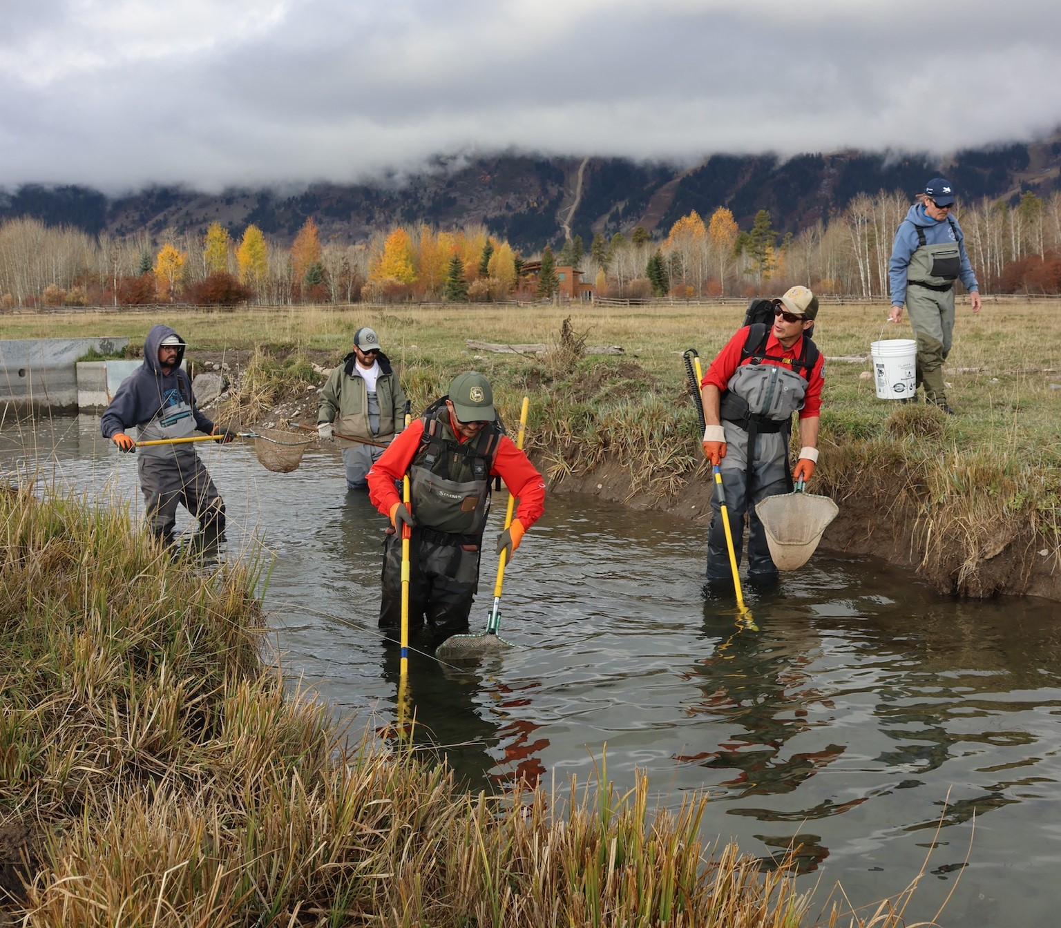 Lake Creek Ranches Fish Passage Project - Jackson Hole TU